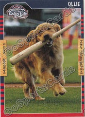 2011 New Hampshire Fisher Cats Ollie Mascot – Go Sports Cards