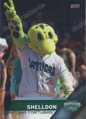 2017 Daytona Tortugas Shelldon Mascot – Go Sports Cards