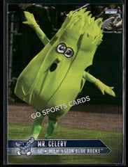 2025 Wilmington Blue Rocks Mr Celery Mascot – Go Sports Cards