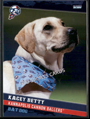 2025 Kannapolis Cannon Ballers Kacey Betty Dog – Go Sports Cards
