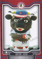 2024 Buffalo Bisons Buster T Bison Mascot – Go Sports Cards