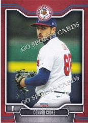 2024 Buffalo Bisons Connor Cooke – Go Sports Cards