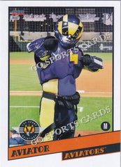 2022 Las Vegas Aviators Aviator Mascot – Go Sports Cards