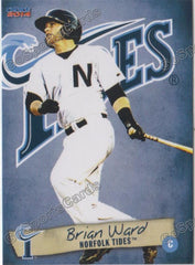 2014 Norfolk Tides Brian Ward – Go Sports Cards