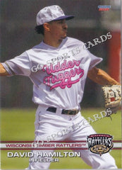2021 Wisconsin Timber Rattlers Jersey David Hamilton 37 – Go Sports Cards