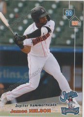 2019 Jupiter Hammerheads James Nelson – Go Sports Cards