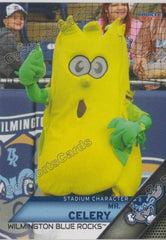 2017 Wilmington Blue Rocks Mr Celery Mascot – Go Sports Cards