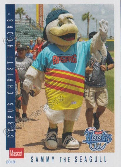 2019 Corpus Christi Hooks Sammy The Seagull Mascot – Go Sports Cards