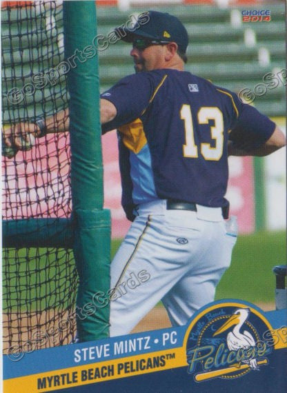 2014 Myrtle Beach Pelicans Steve Mintz – Go Sports Cards