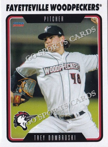 2023 Fayetteville Woodpeckers Trey Dombroski – Go Sports Cards 2023 Fayetteville Woodpeckers Trey Dombroski – Go Sports Cards